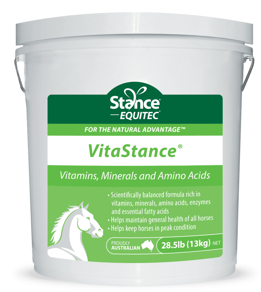 Cool Stance® - Stance Equine USA